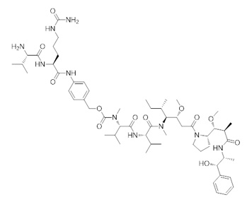 有效载荷-连接子 - 皓元医药