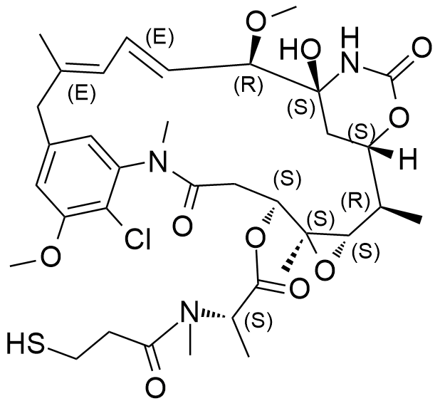 有效载荷 - 皓元医药